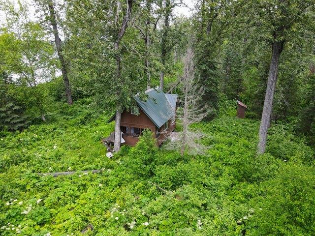 Tract E Susitna Riv, Willow, AK 99688