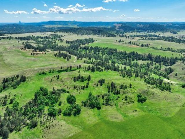 Tract E 11 Soaring Eagle Rd, Hulett, WY 82720