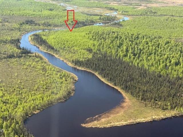 Tract F Trapper Lk, Willow, AK 99694
