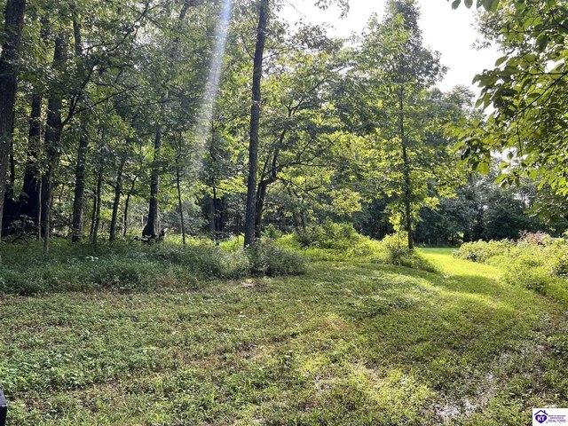 Tract G Sutzer Creek Rd, Eastview, KY 42732