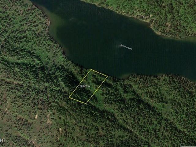 Tract H Sockeye Lk, Talkeetna, AK 99676