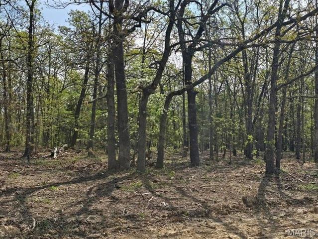 Tract N Greatview Ln, Lebanon, MO 65536