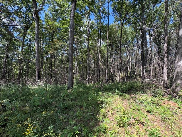 Tract q The Bear Blvd, Tamassee, SC 29686 | MLS #20292