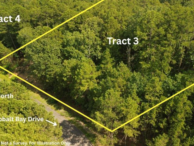 Tracts 3 & 4 Cobalt Bay Drive