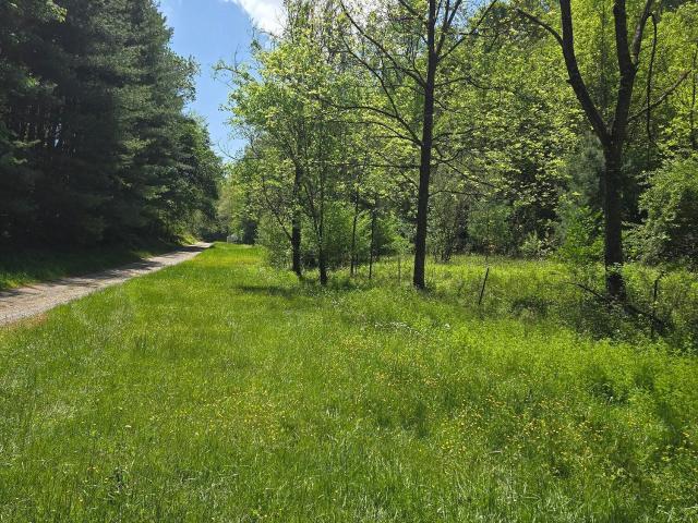 Tracts 1 3 Dooley Hollow Rd, Ewing, VA 24248