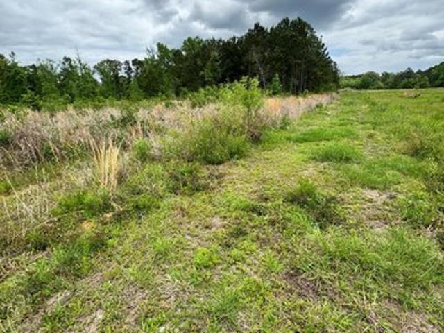 Tracts 20 # 7701 and 21 Pr, San Augustine, TX 75972