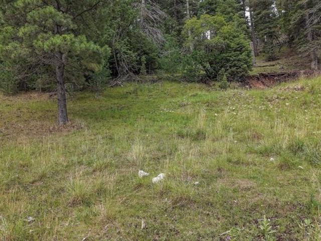 Trading Post Rd Lot 40, Cloudcroft, NM 88317