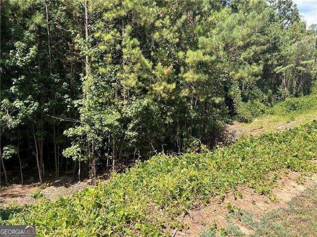Traditions Dr, Alpharetta, Plot For Sale