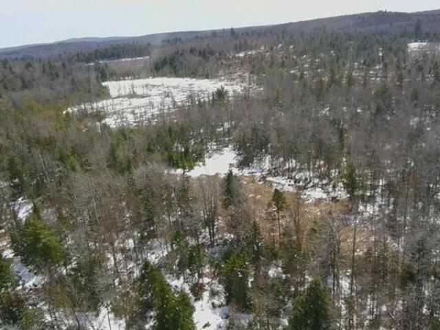 Trafton Rd, Parkman, Plot For Sale