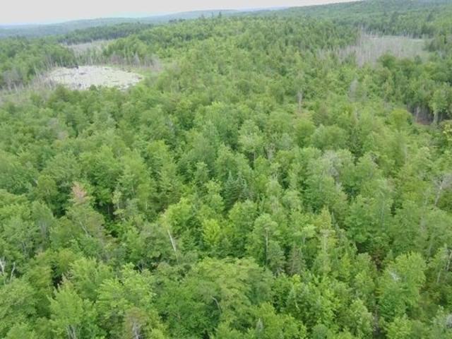 Trafton Rd, Parkman, Plot For Sale