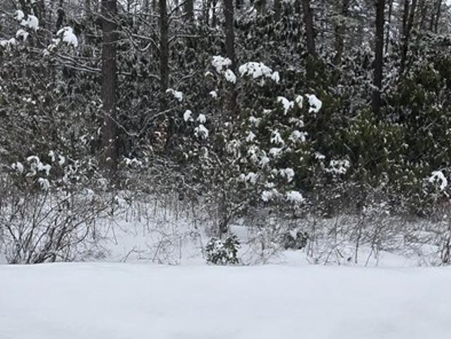 Trail Ridge Rd, Albrightsville, PA 18210