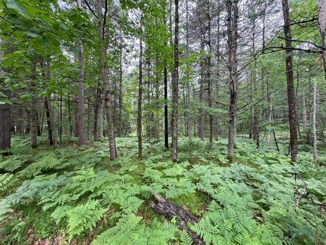 Trailwood Dr Lot 90, Minocqua, WI 54548