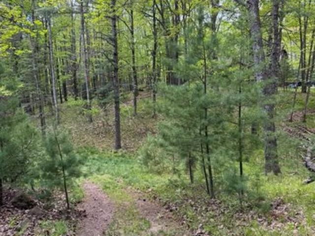 Trailwood Dr Lots 97 & 98, Minocqua, WI 54548