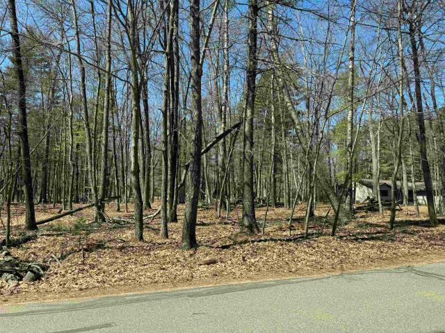 Trailwood Drive