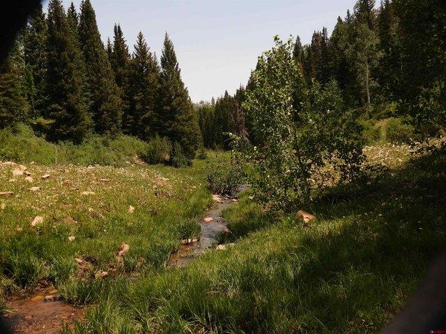 Transfer Rd, Montrose, CO 81403