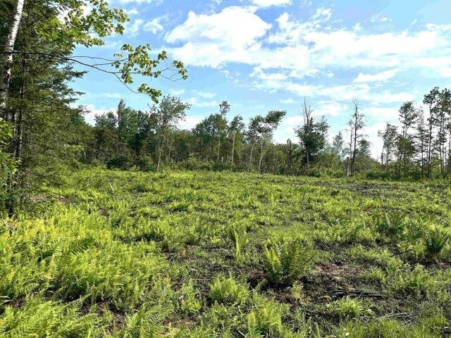 Tranquility Ln, Plot For Sale