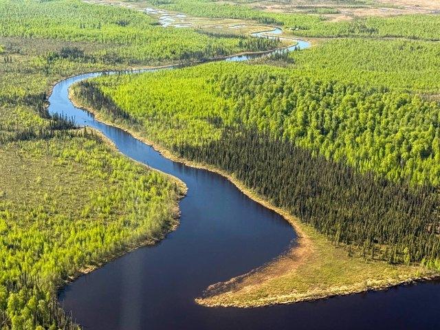 Trapper Tract Lk # C, Willow, AK 99688
