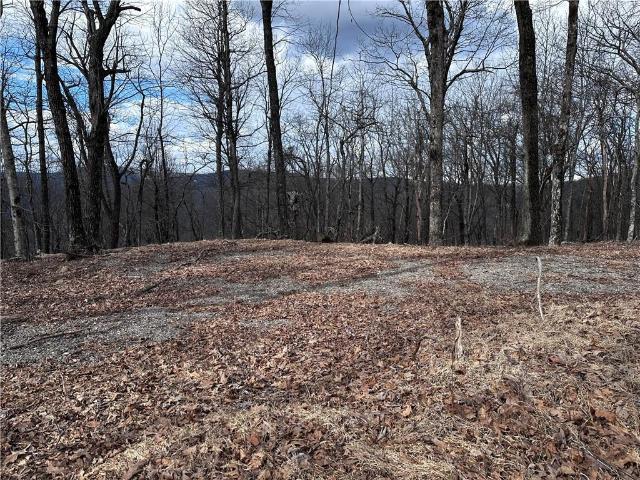Trct c Old A T Approach Trail, Jasper, GA 30143 | MLS #7730