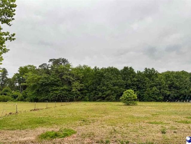 Treasure Cv Lot 17, Latta, SC 29565
