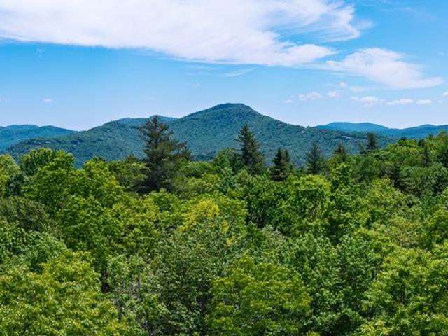 Treasurewood Rd Lot 2, Glenville, NC 28736