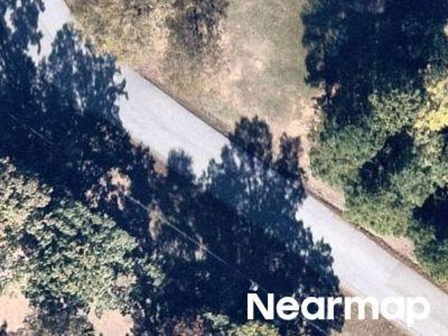 Tree Rd