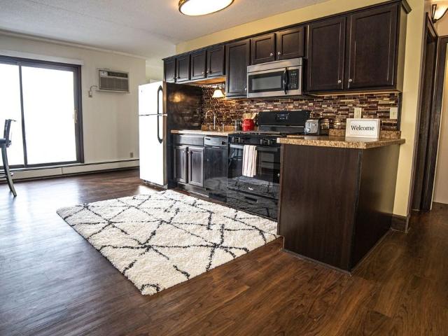 Tree Tops Apartments Studio Apartment for Rent at 3535 Bryant Ave S, Minneapolis, MN 55408 CARAG