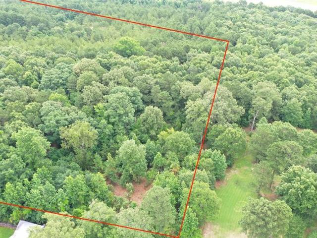 Treebark, Texarkana, AR 71854