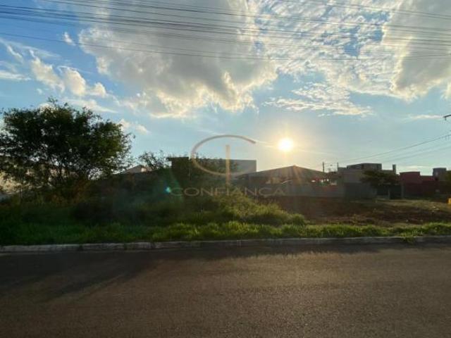 TREEENO DE 204 M² NO PARADIS