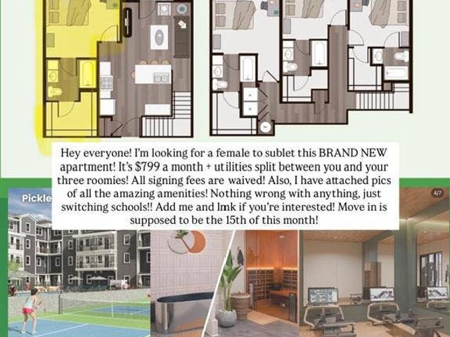 Treehaus Apartment!