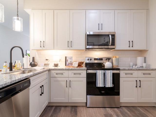 Treesort Luxury Living 3 Bedroom Apartment for Rent at 1000 Treesort Vw, Gainesville, GA 30506