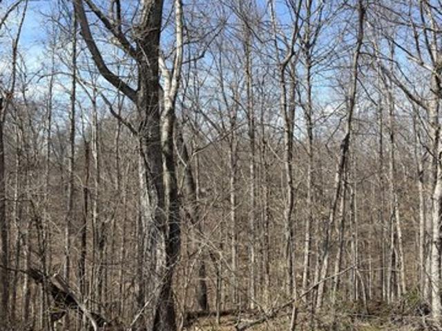 Treetop Ln, Nashville, IN 47448