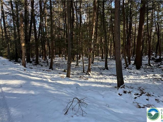 Treetop Ln, Albrightsville, PA 18210 | MLS #770367 | Compass