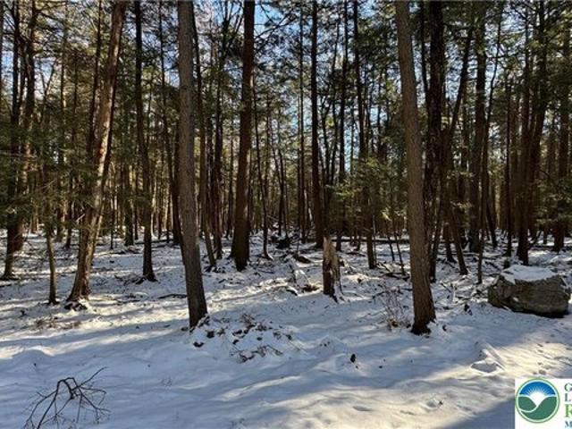 Treetop Ln, Kidder Township, PA 18210