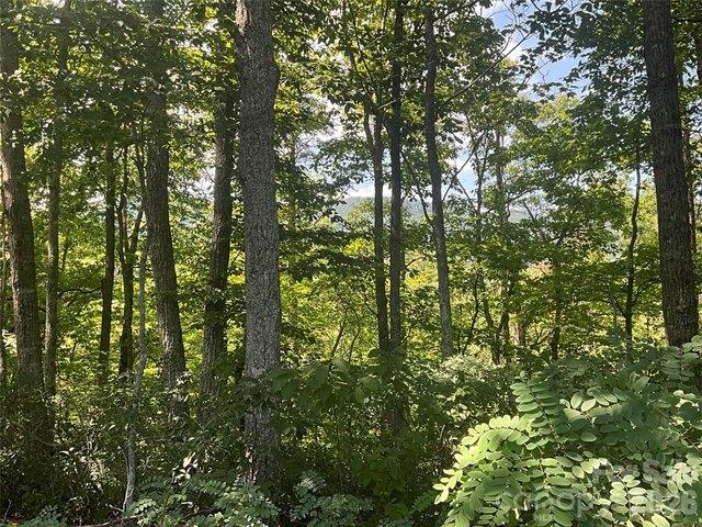 Treetops Ln Lot 67, Lake Lure, NC 28746