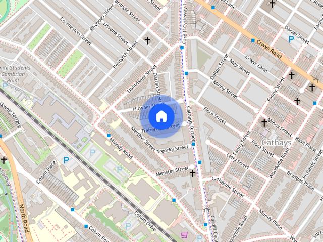 Treherbert Street, Cathays, Cardiff, CF24 4JN
