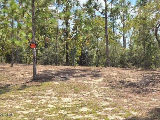 Trellis Dr Lot 6, Chipley, FL 32428