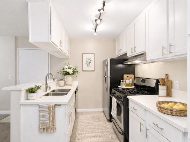 Tremont Apartments | 514 S Catalina St 2 Bedroom Apartment for Rent at 514 S Catalina St, Los Angeles, CA 90020 Wilshire Center Koreatown