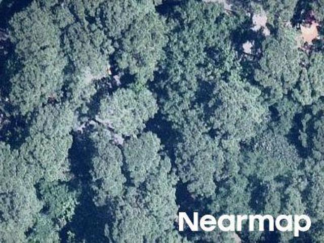Tremont Woods Ct
