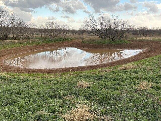 Trent TX 79561 94532488