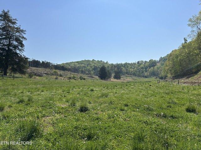 Trent Valley Rd, Sneedville, TN 37869