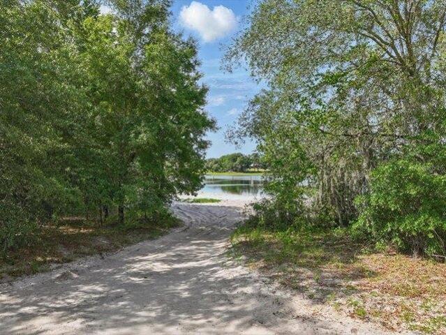 Trenton FL 32693 LS93367753