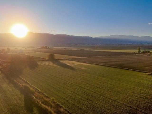 Trenton, UT 84338