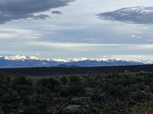 Tres Coyotes Trl, Montrose, CO 81403