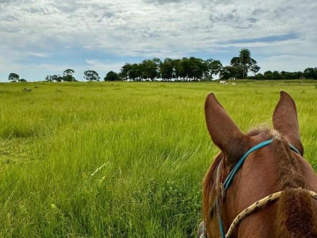 “TRÊS JOIAS DO CERRADO: OPORTUNIDADE ÚNICA” no Goiás