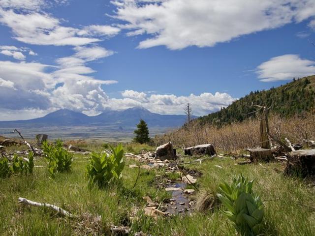 Tres Valles W # 36, La Veta, CO 81055