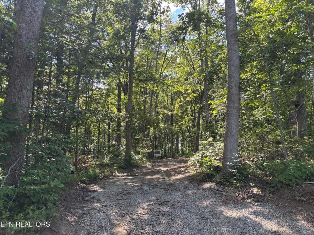 Tresa St, Crossville, TN 38572