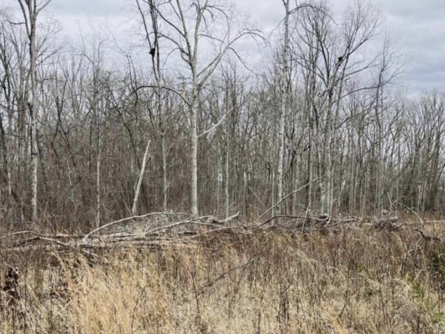 Tresa St, Crossville, TN 38572