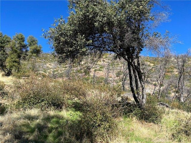 Triangle Rd, Mariposa, CA 95338