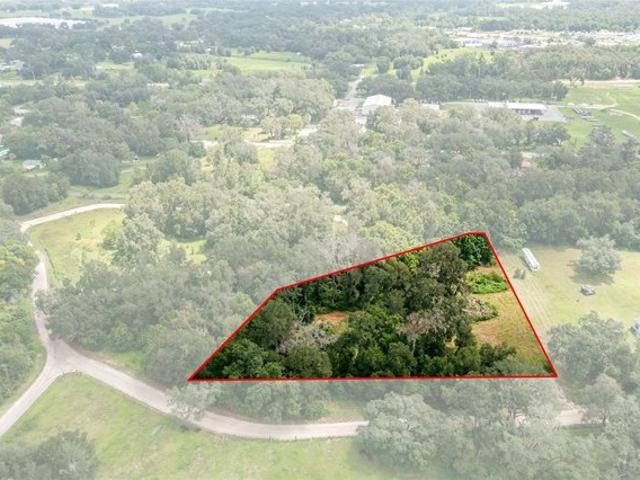 Trilby Cutoff Rd, Dade City, FL 33523