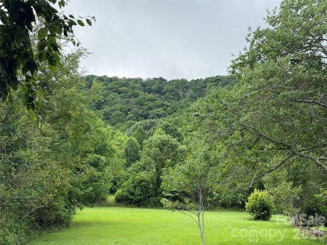 Trillium Way, Clyde, NC 28721
